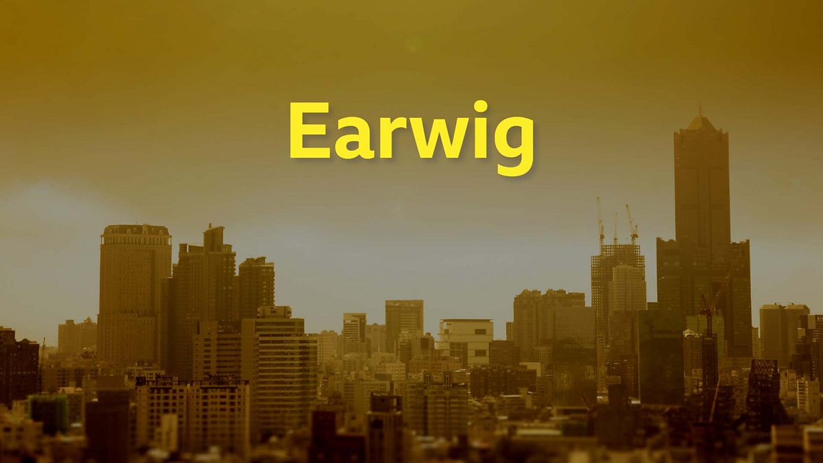 BBC Radio 4 - Earwig