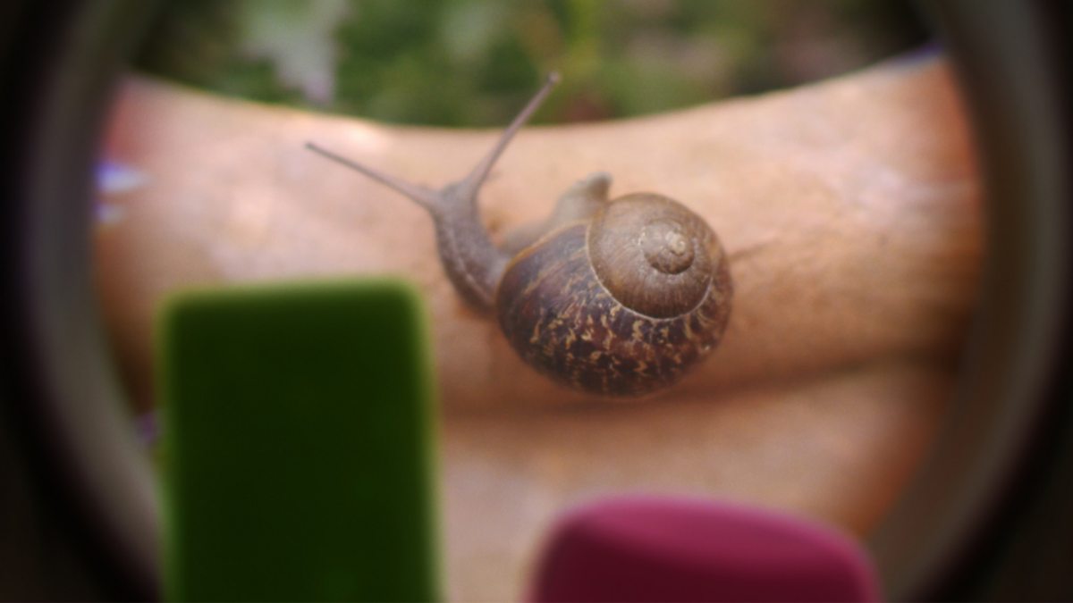 CBeebies - Tiny Wonders, Series 1, Snail
