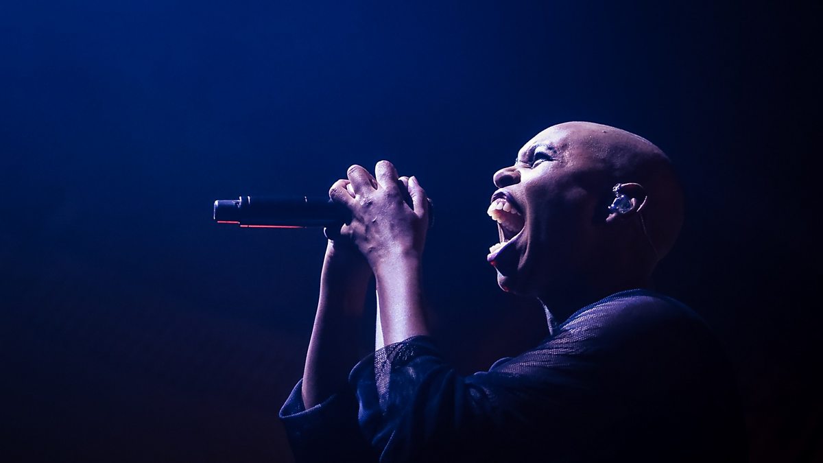 BBC World Service - The Outlook Podcast Archive, Skin: the scream that ...