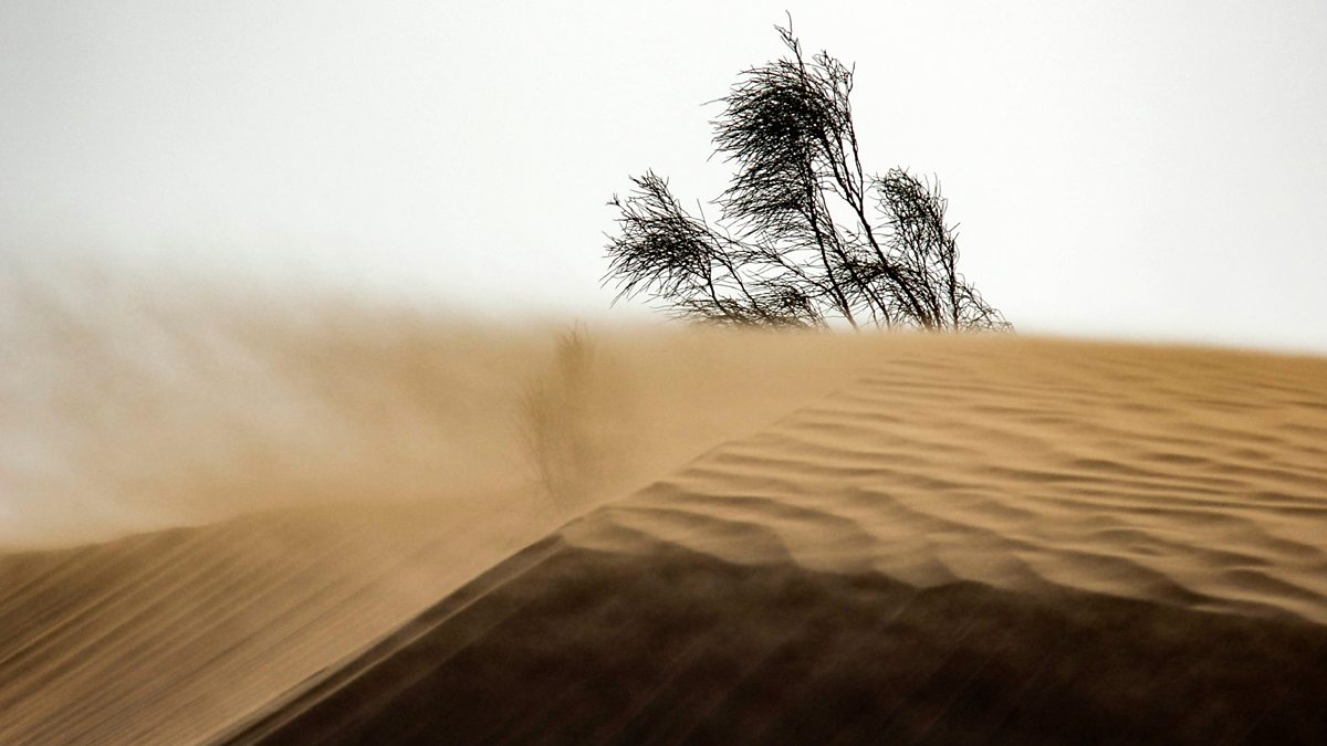 BBC World Service - CrowdScience, How does a breeze become a gale?