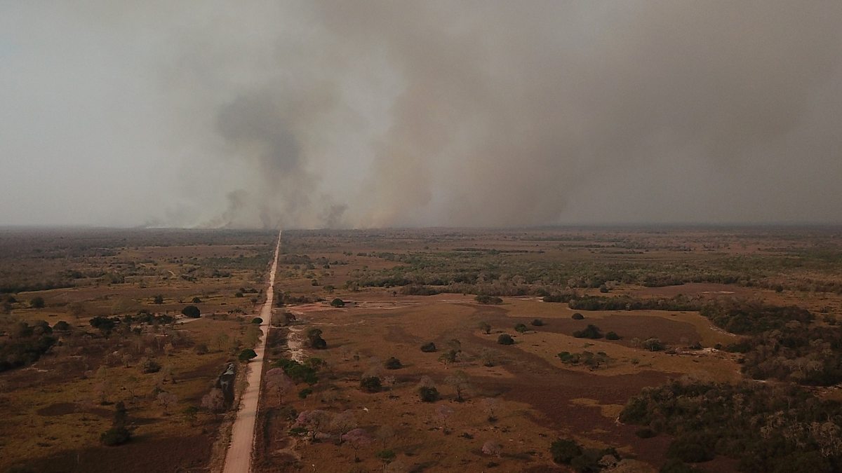 BBC World Service - The Documentary Podcast, The state of the planet