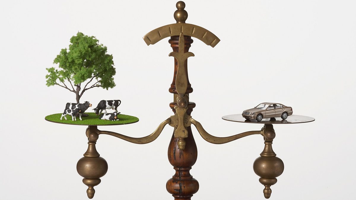 BBC World Service - Newsday, Human-made objects to outweigh living things