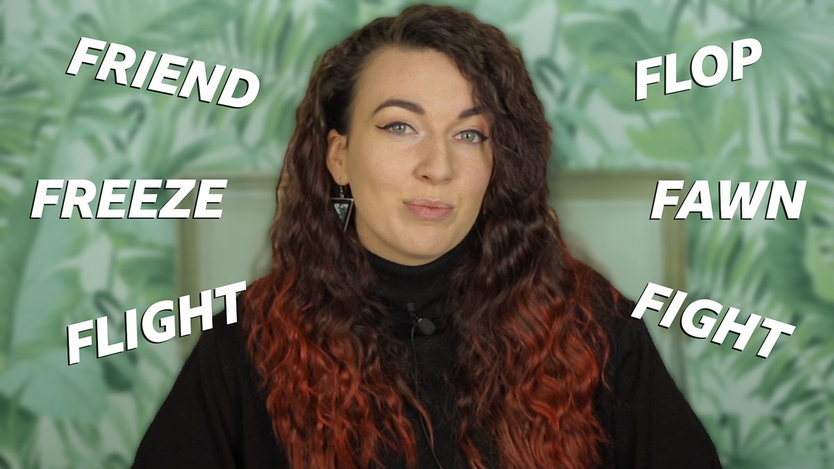 BBC - The Social, Fight, Flight And Other Stress Responses