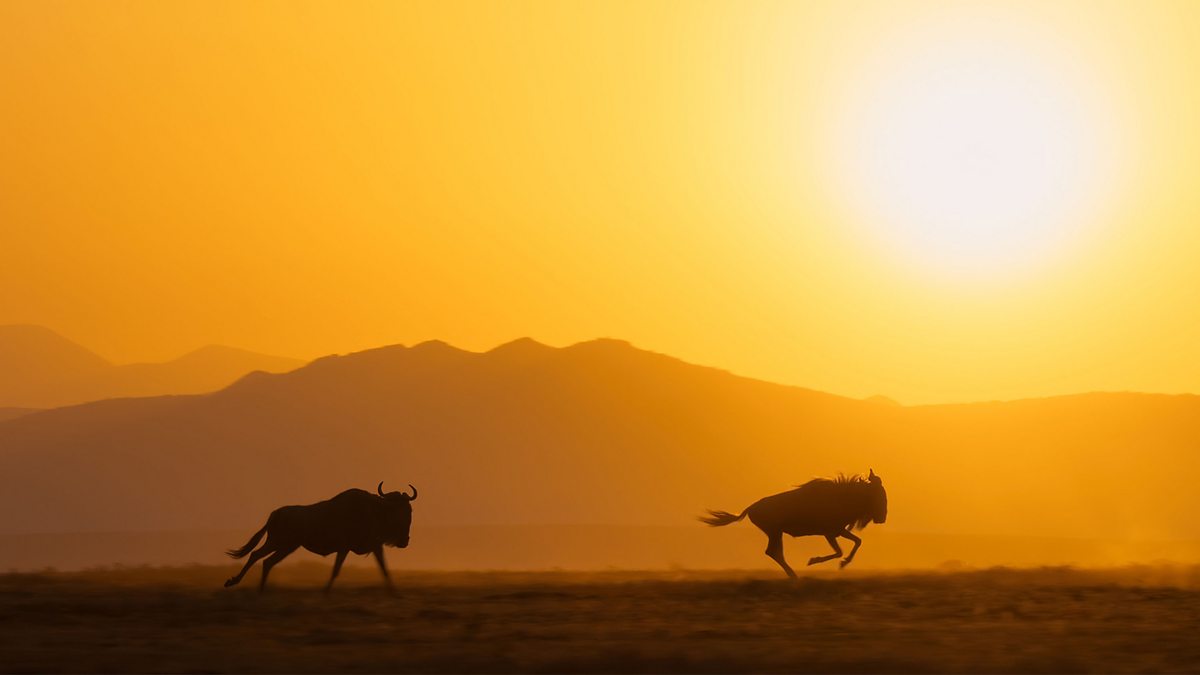 A Perfect Planet - Series 1: 2. The Sun - BBC iPlayer