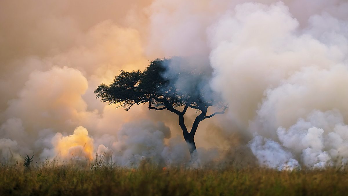 BBC One - A Perfect Planet, Series 1, Weather