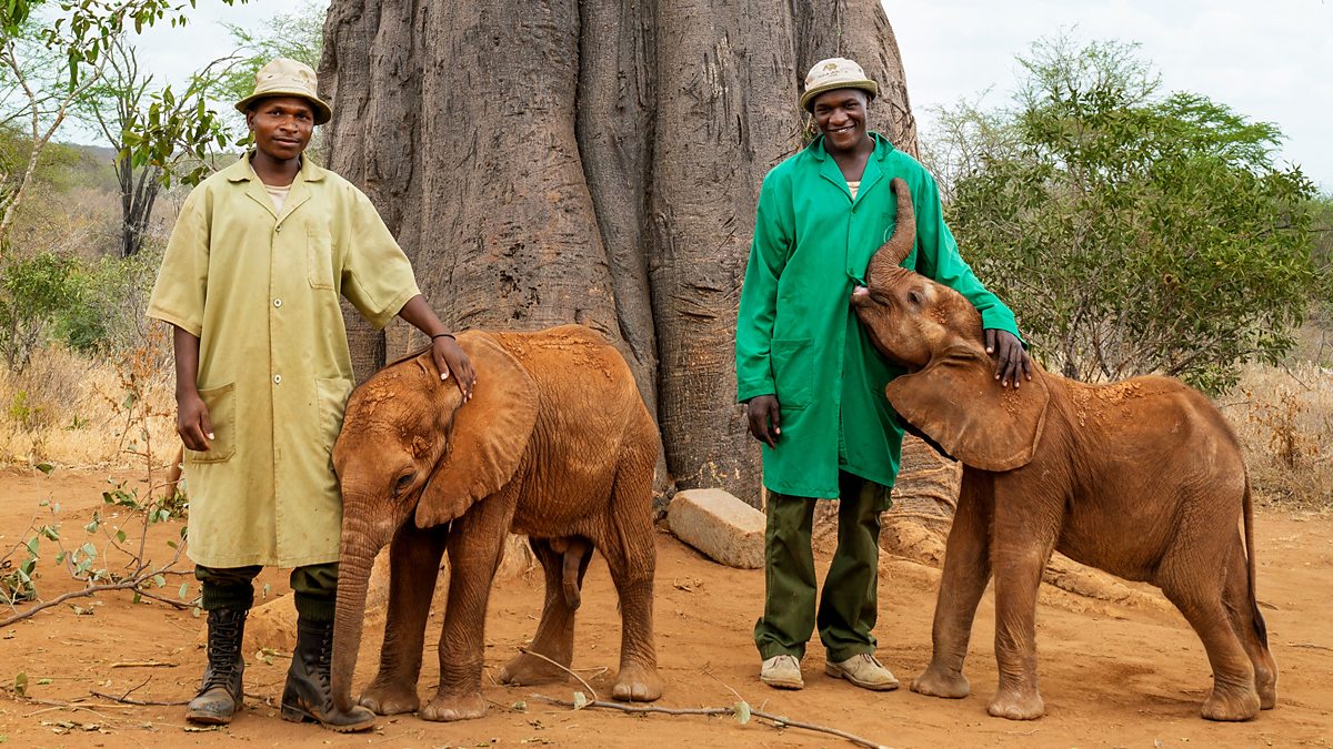 BBC One - A Perfect Planet, Series 1, Humans