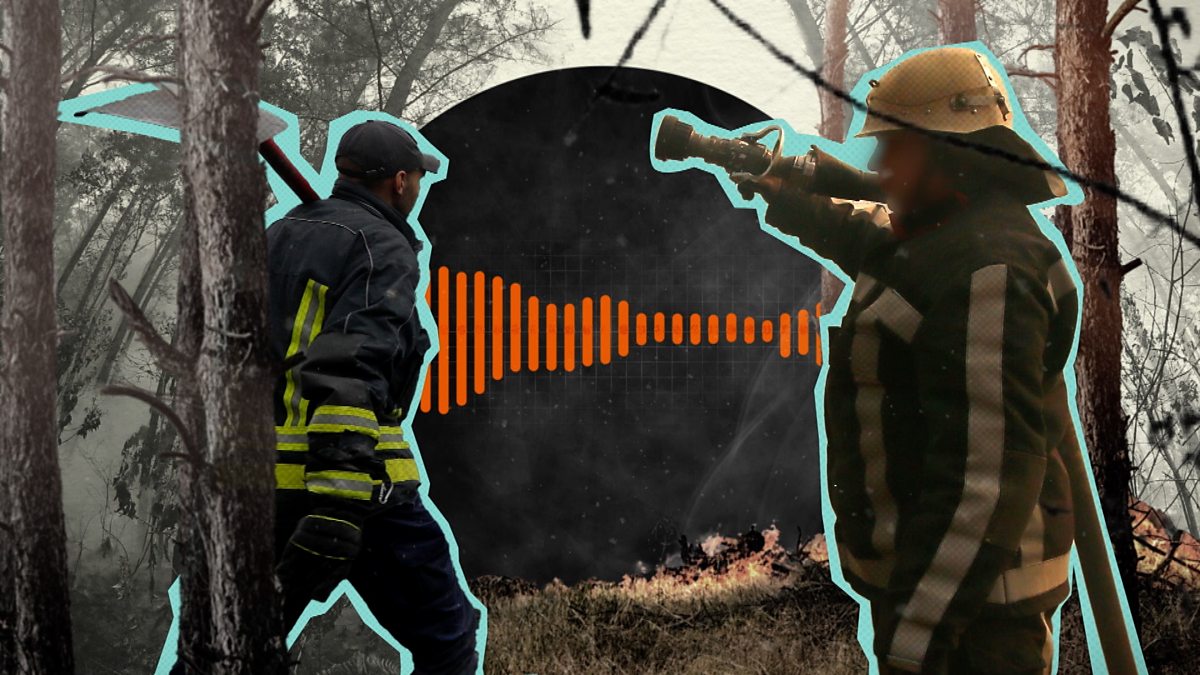 BBC News - Wildfire: Chernobyl's Radioactive Forests