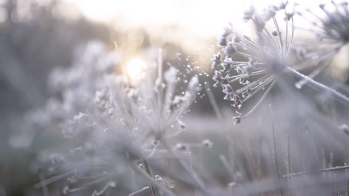 BBC Two - Winterwatch, Series 9, Introducing Winterwatch 2021!