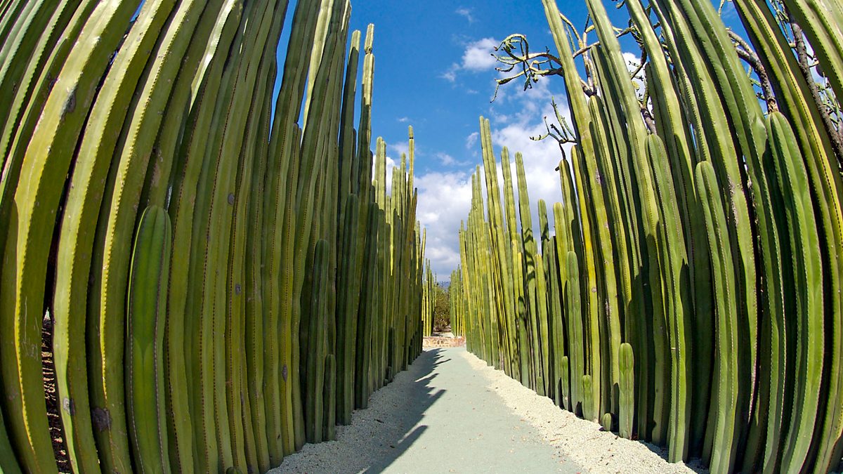 BBC Two - Around the World in 80 Gardens, Mexico and Cuba