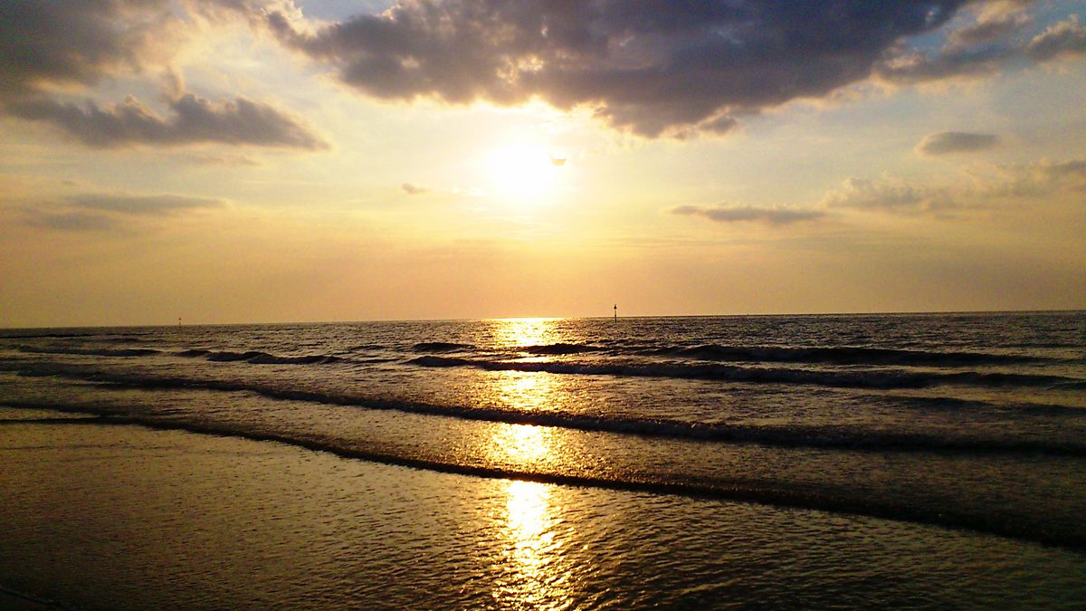 BBC Blogs - Springwatch - The call of the ocean