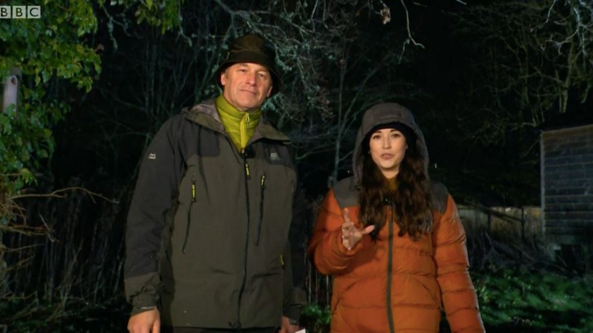 BBC Radio Ulster - Sunday with Steven Rainey, Chris Packham and Megan ...