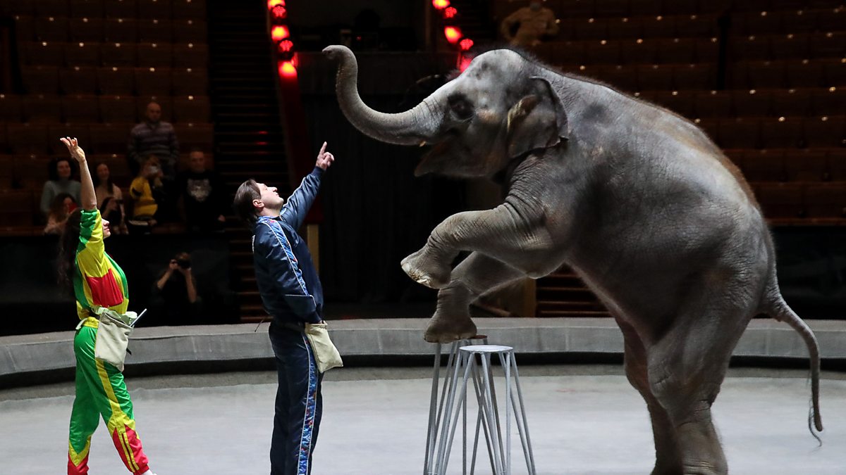 BBC World Service - Witness History, The Moscow State Circus