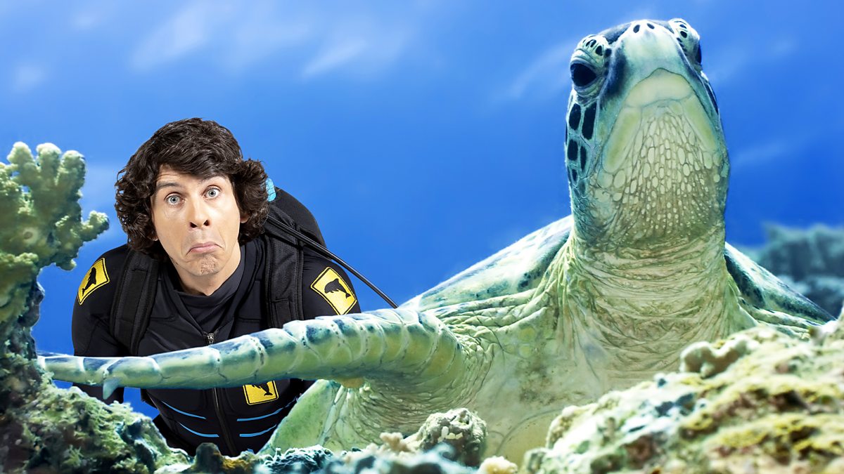 Andys Aquatic Adventures - Series 2: 1. Andy and the Green Sea Turtles ...