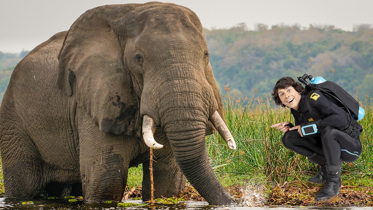 Andys Aquatic Adventures - Series 2: 10. Andy and the African Elephants ...