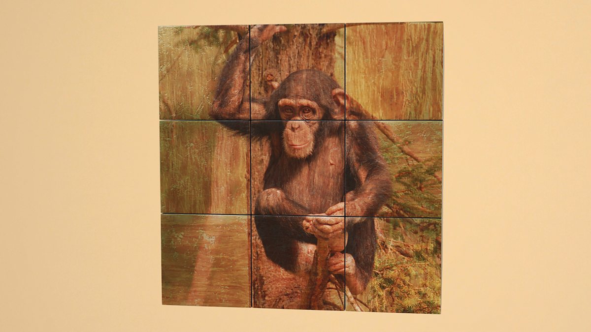 Tik Tak - Series 2: Episode 16 - BBC iPlayer