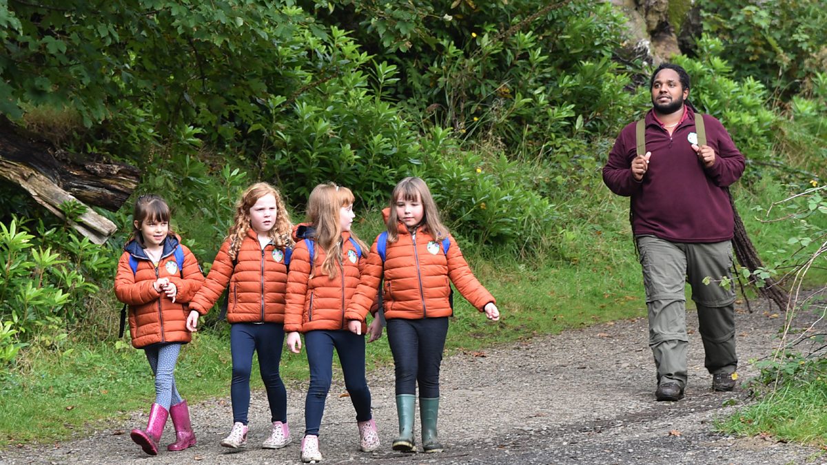 Lets Go for a Walk - Series 3: 6. Waterfalls and Spooky Tag Walk - BBC ...