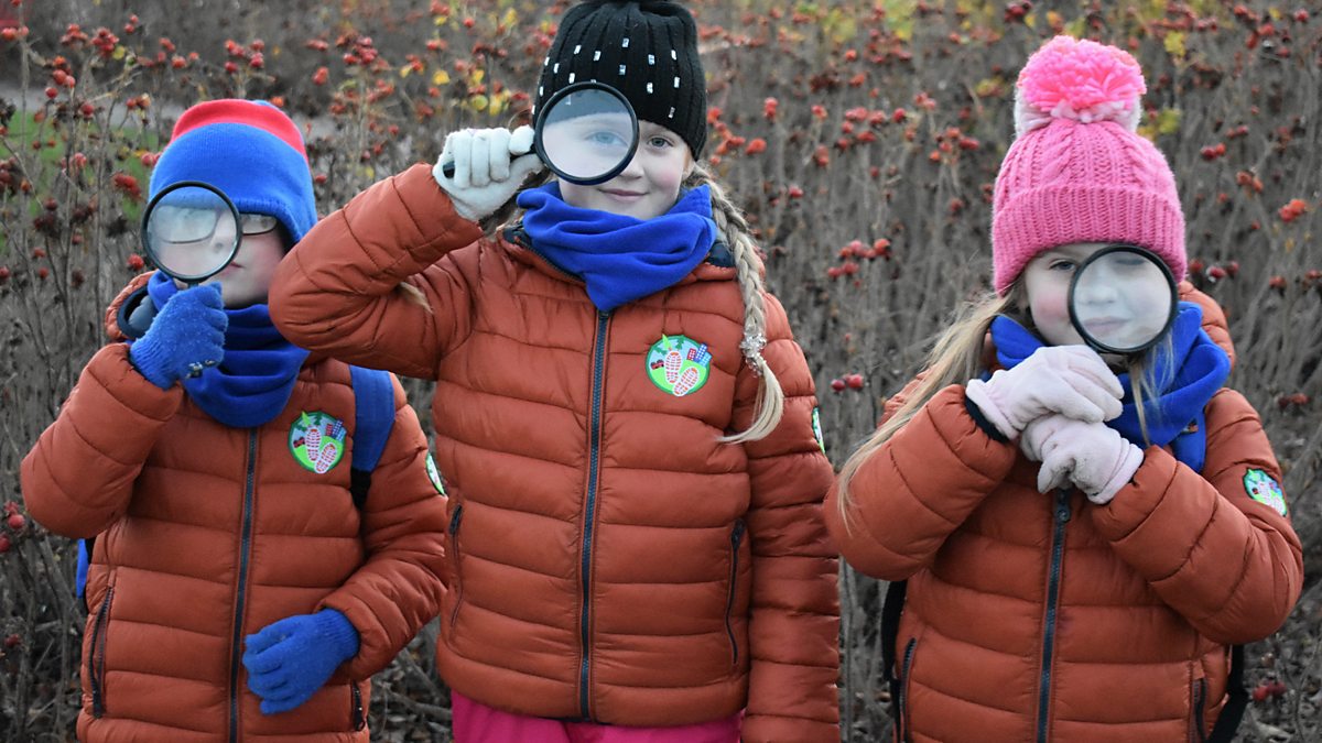 Lets Go for a Walk - Series 3: 15. Spiky Tree and Torches Walk - BBC ...
