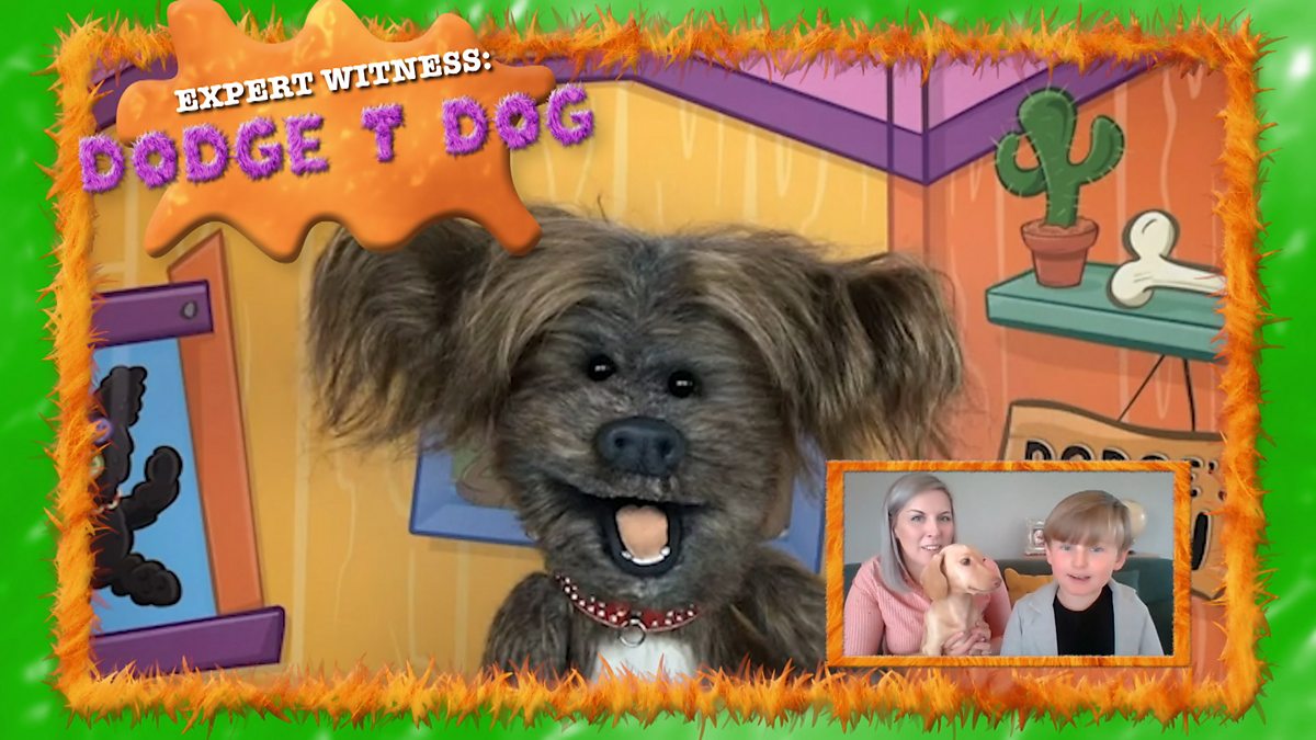 BBC iPlayer - Monster Court - Series 1: 10. The Case of the Puppy ...