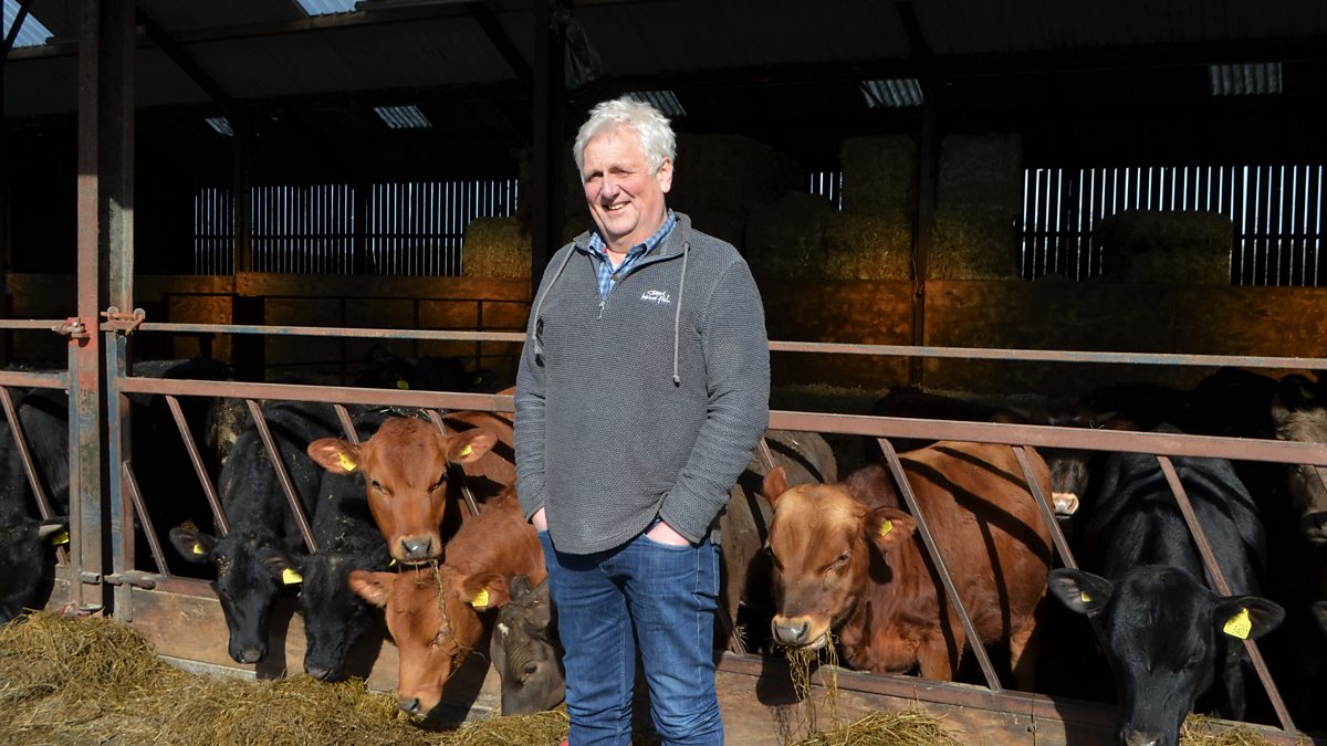 BBC Radio Cymru - Bwletin Amaeth, Undeb Amaethwyr Cymru yn cefnogi Bil ...