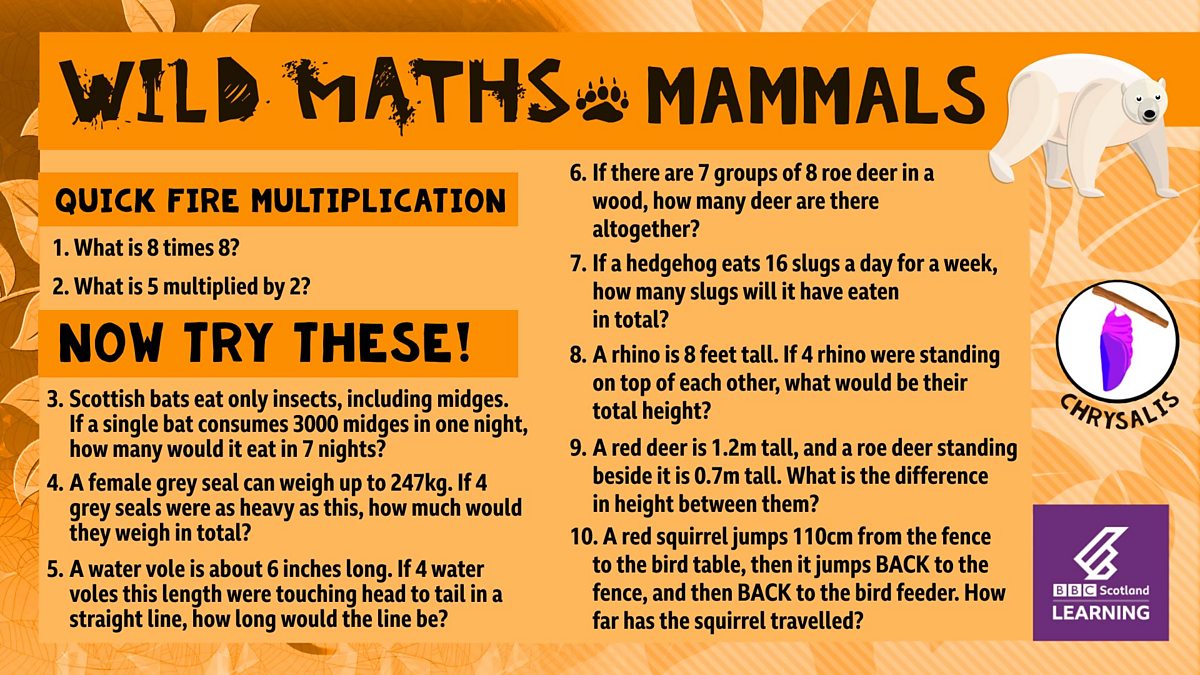 BBC Scotland - Learn at BBC Scotland, P6 Mammals quiz - Level: Chrysalis