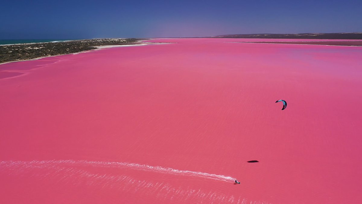 Colours - Series 1: 10. Pink - BBC iPlayer