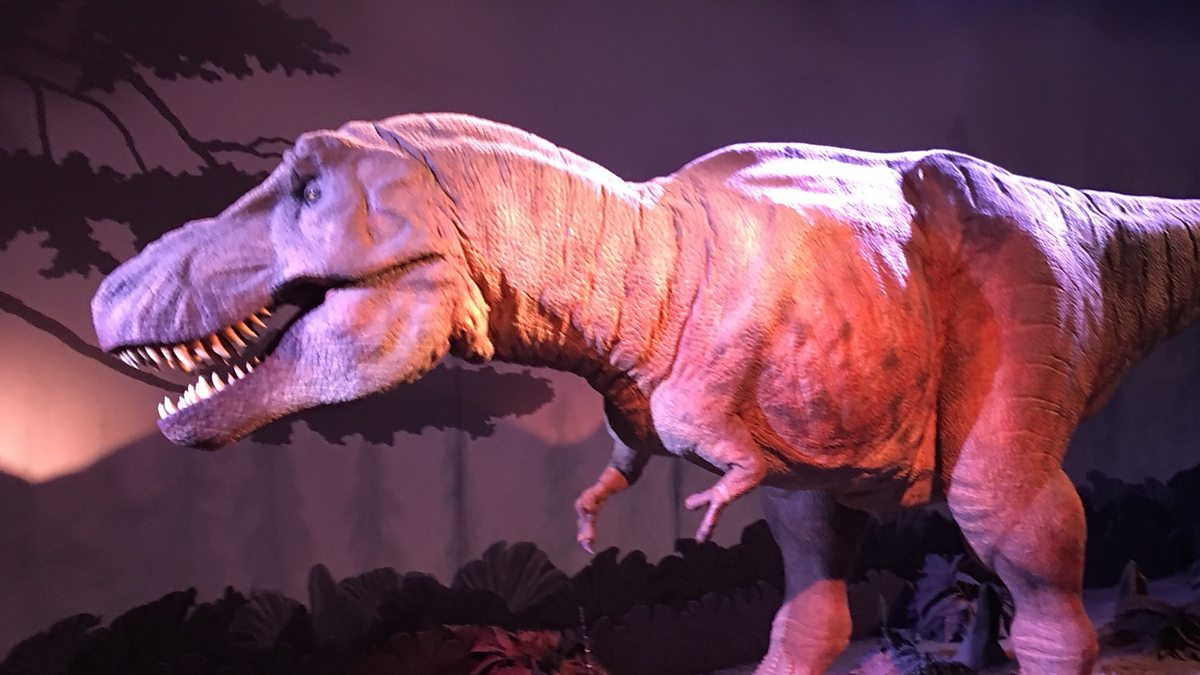 BBC Three Counties Radio - Andy Collins, Dinosaurs stuck in the Suez ...