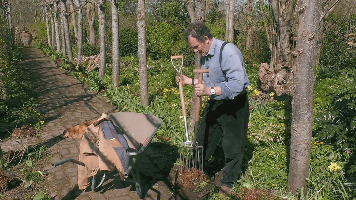 BBC Two - Gardeners' World, 2021, Episode 4, Fern division