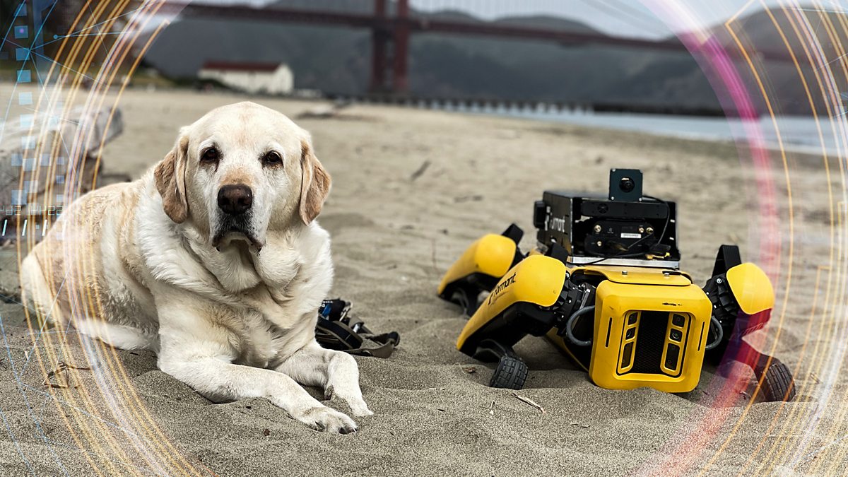 BBC News - Click, Spot The Dog - Clips