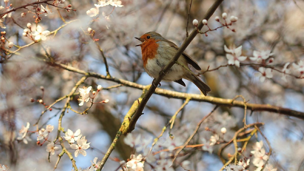 BBC Radio Ulster - Thought for the Day, Ciara Fitzpatrick, Sunday 2nd ...