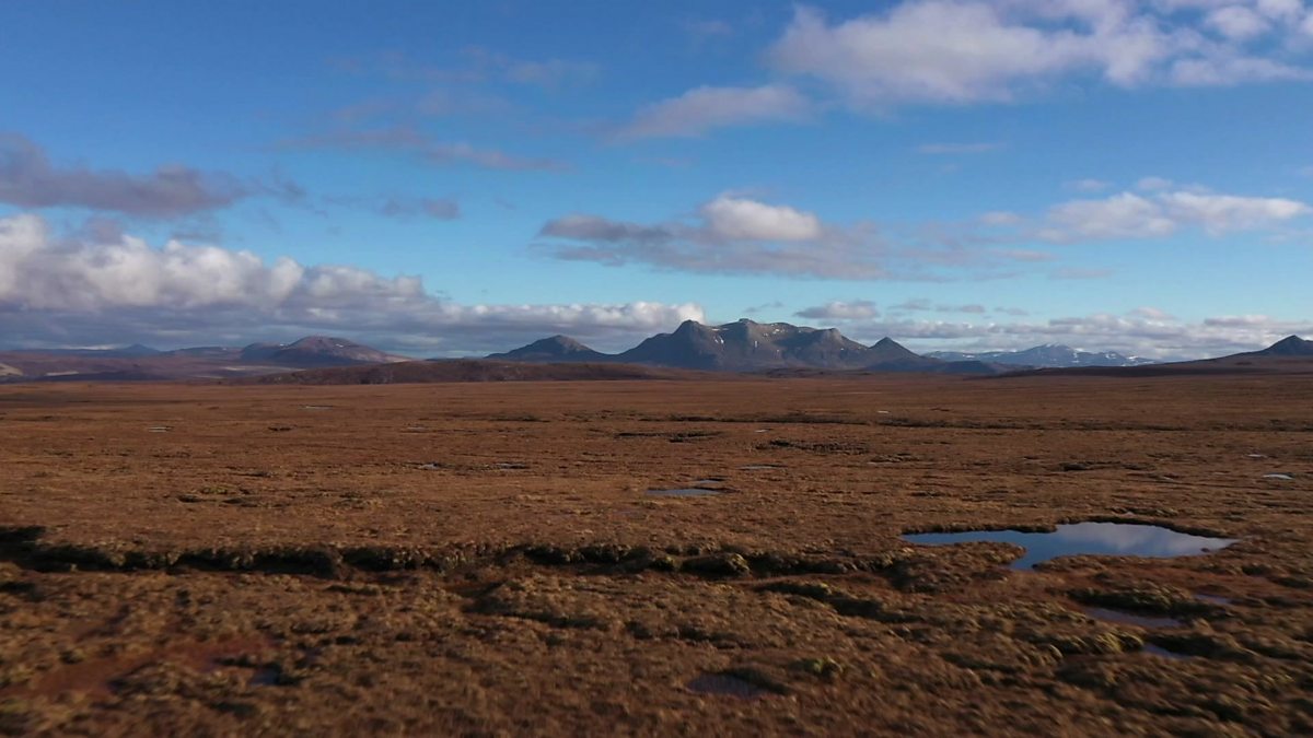 BBC Scotland - BBC Scotland - Should this desolate landscape be given ...