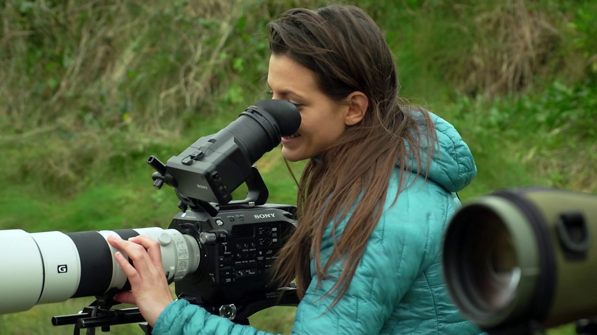 BBC One - Weatherman Walking, The Welsh Coast Series 3, Dale to West ...