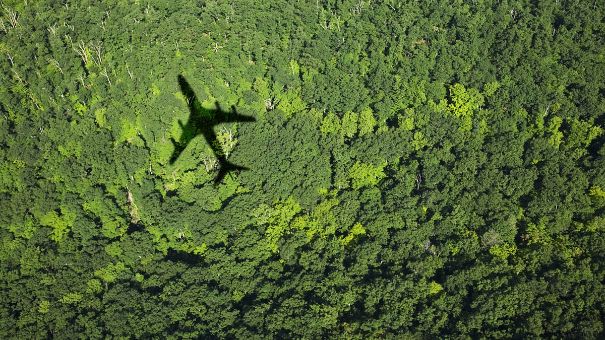 BBC World Service - Business Daily, Can flying go green?