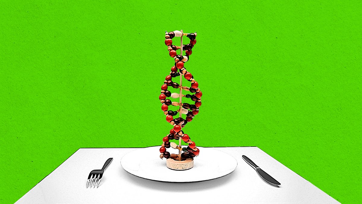 BBC World Service - The Food Chain, What's the appetite for gene edited ...