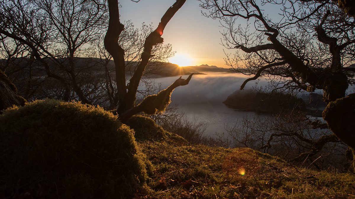 BBC Two - Springwatch, 2021, Introducing Springwatch 2021