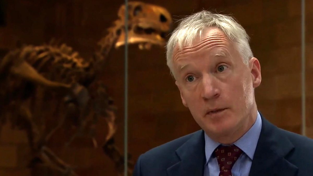 BBC News - HARDtalk, Doug Gurr - Director, Natural History Museum, UK ...