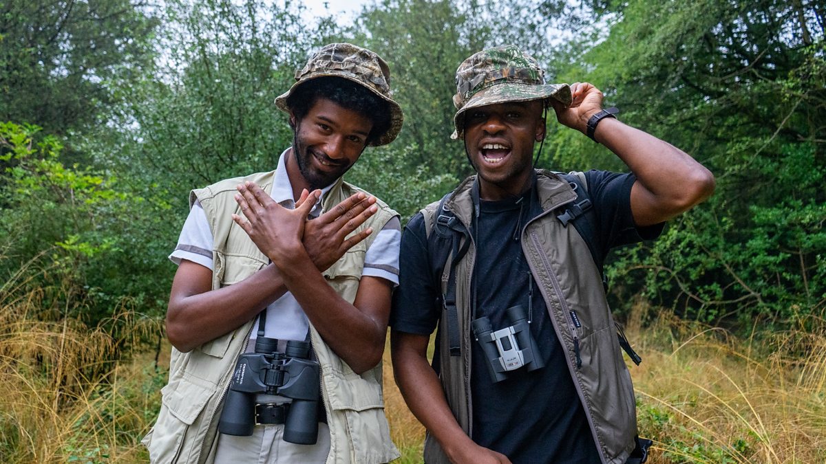 BBC World Service - Outlook, Why we set up a birdwatching club for ...