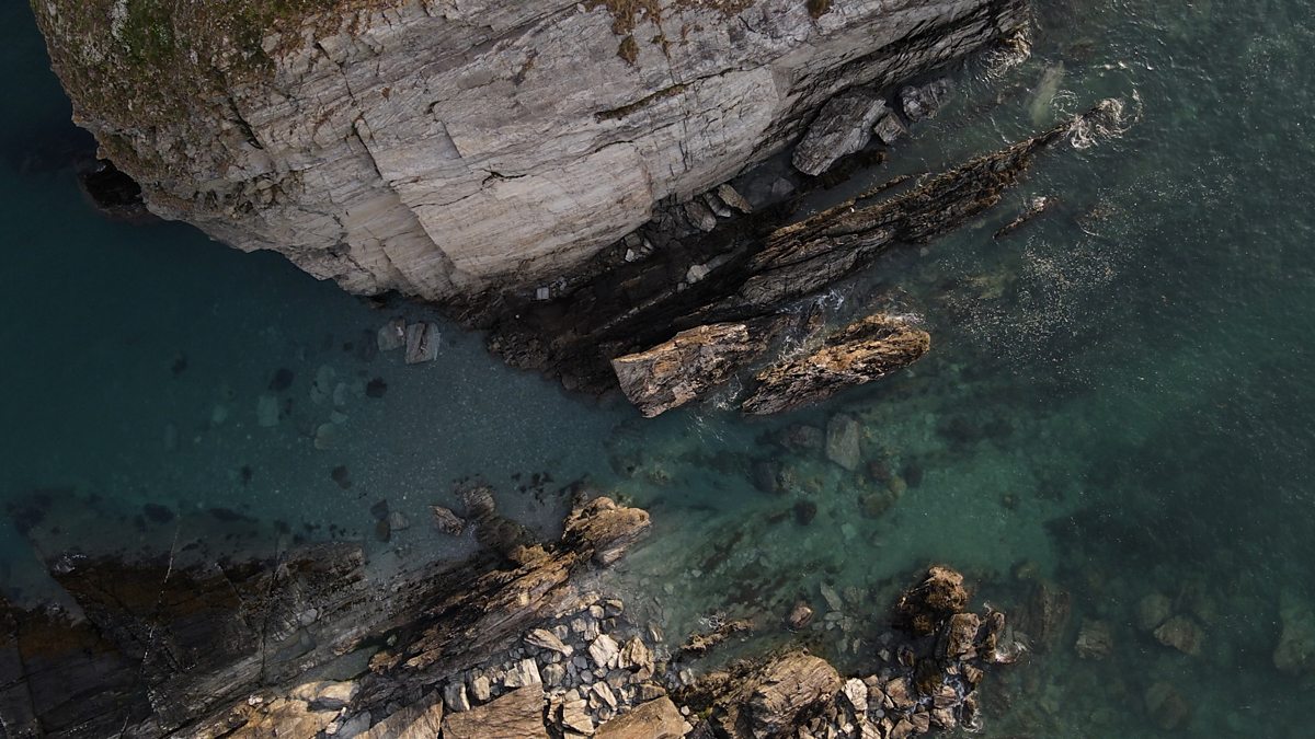 BBC Two - Springwatch, 2021, Episode 8, Relax in the rockpools