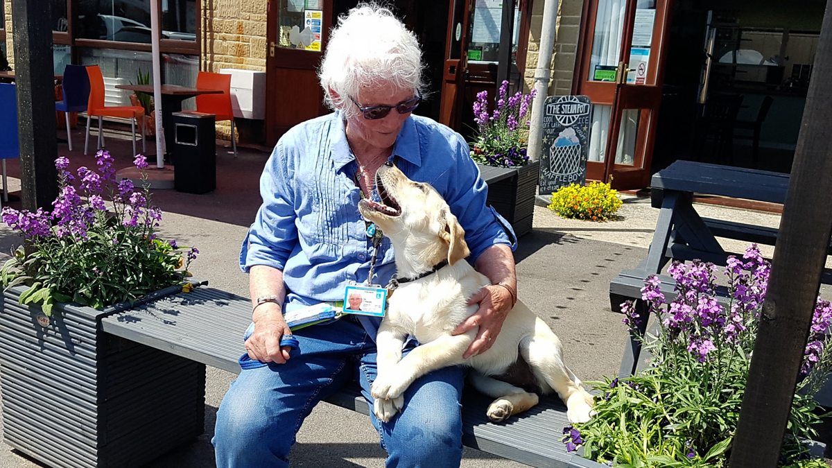 BBC Radio Somerset - Claire Carter on BBC Radio Somerset, 10/06/2021 ...