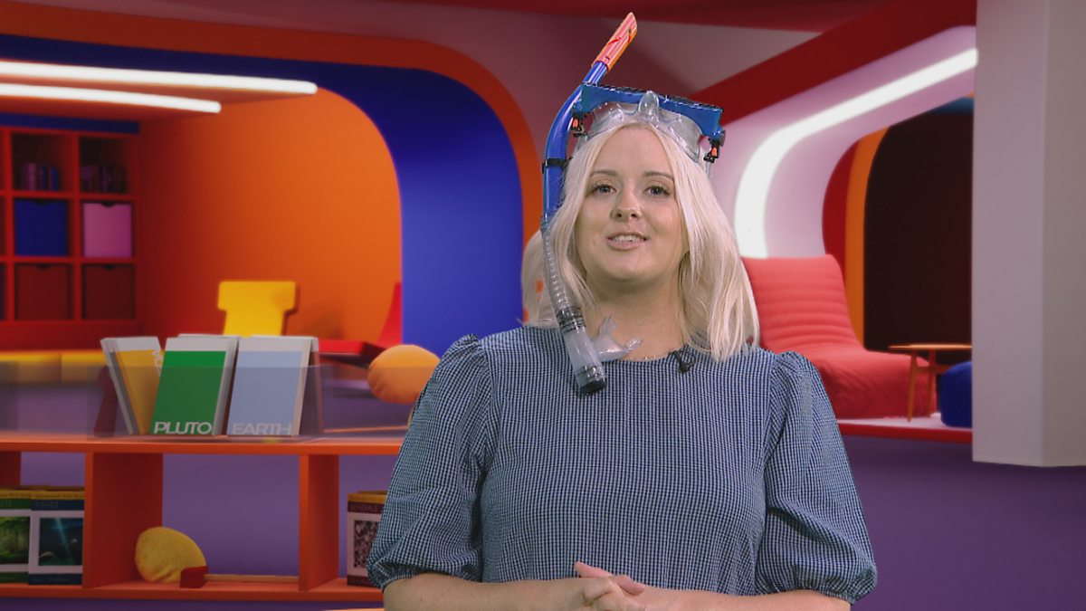 Bitesize Daily: 5-7 Year Olds - Maths: 115. Addition and Subtraction ...