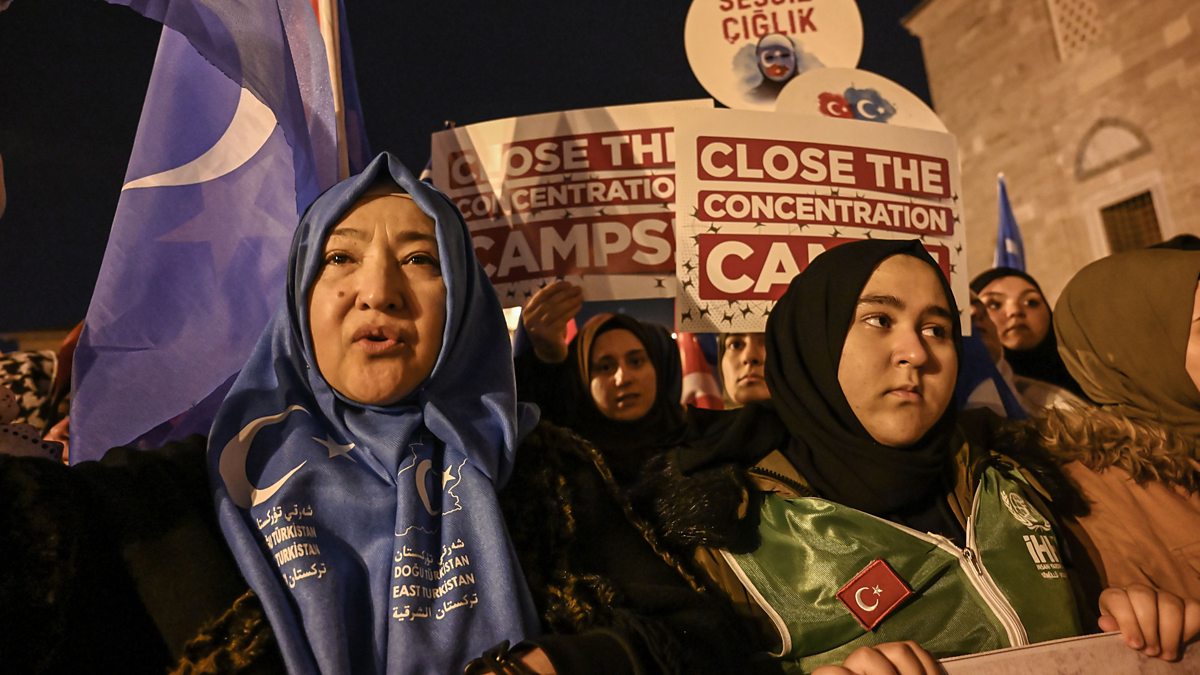 BBC World Service - Digital Planet, YouTube’s rules silencing human ...