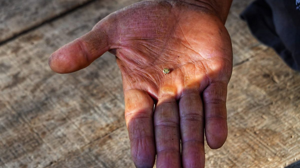 BBC World Service - The Compass, The Golden Age Of Gold, Gold: What ...