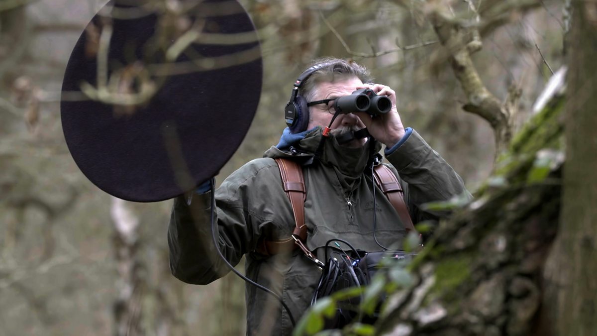 BBC Two - Springwatch, 2021, Episode 9, The sounds of Sherwood
