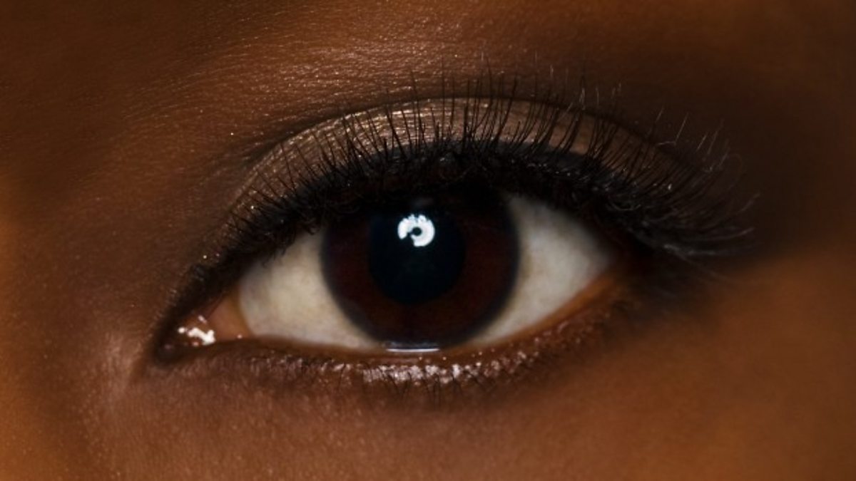 BBC Radio 4 - Ingenious, The Eyeball Gene