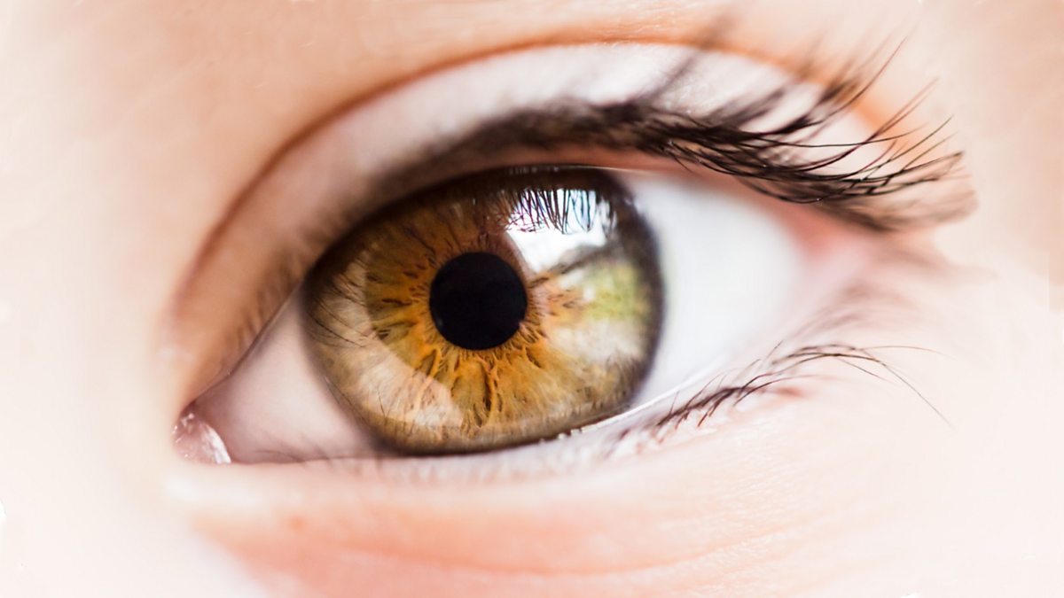 BBC Radio 4 - Ingenious, The Fat Gene