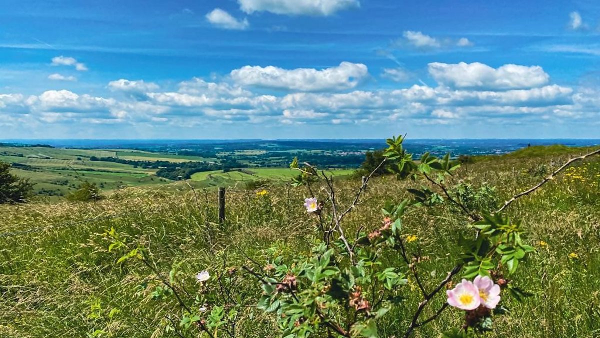 BBC Radio Wiltshire - Ben Prater, 22/07/2021, One Show wildlife ...