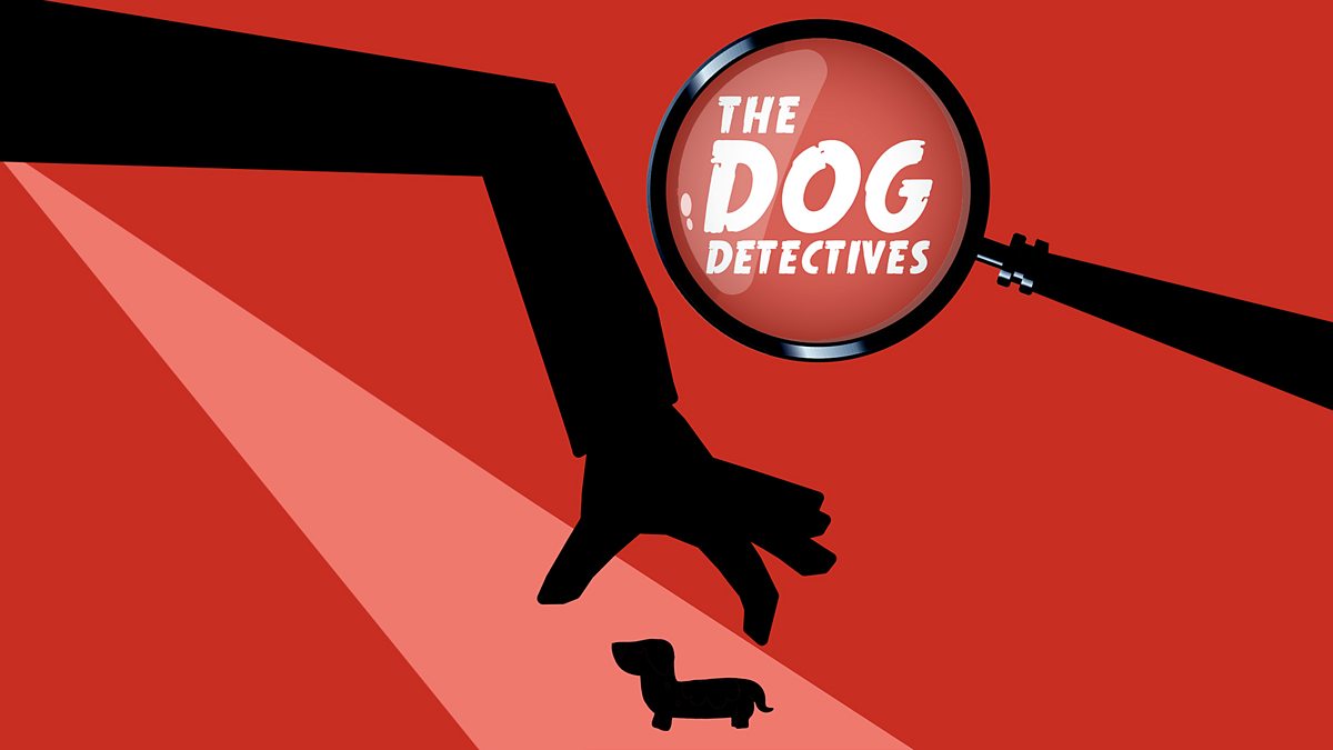 BBC Radio Wales - The Dog Detectives