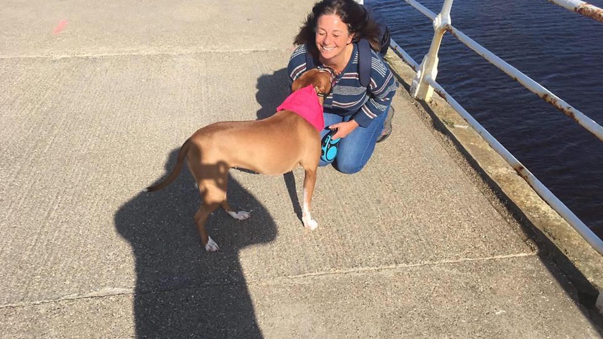 BBC Radio Tees - Amy Oakden, 30 years of the Dangerous Dogs Act