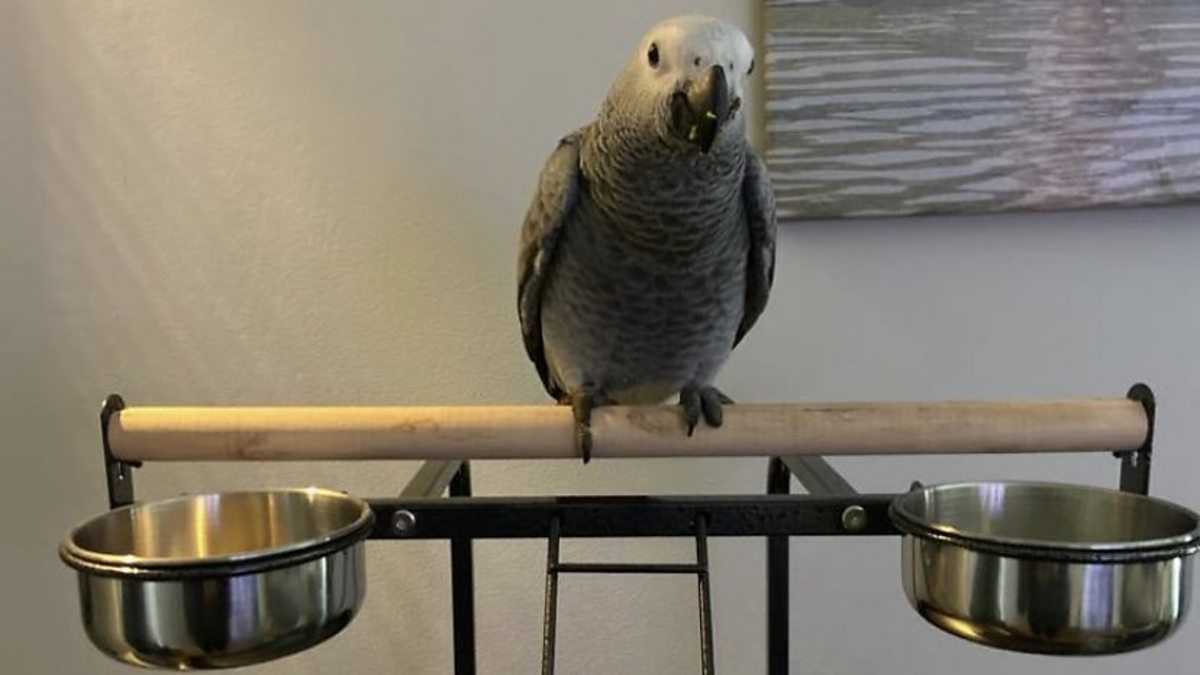 BBC Radio Sussex - Danny Pike, Shaun Tilley sits in (18/08/2021 ...