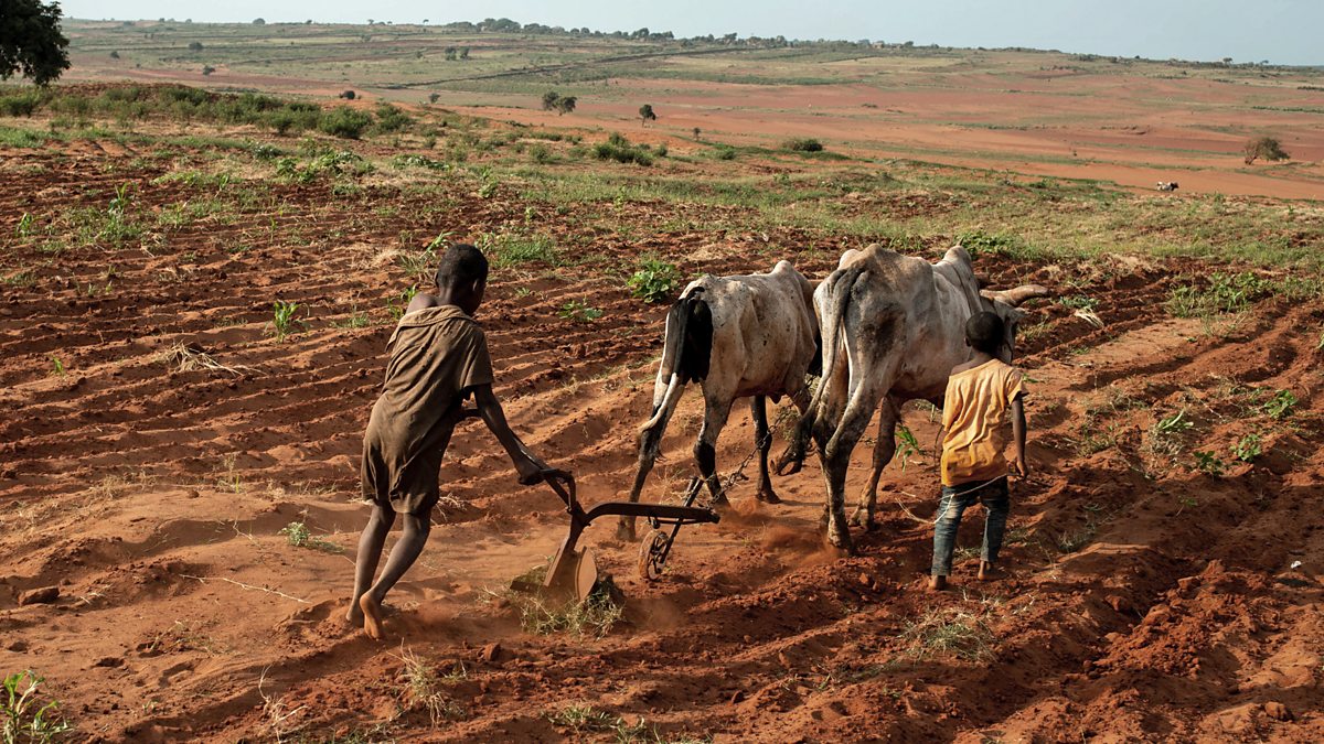 BBC World Service - Newshour, Madagascar on the brink of 'climate ...