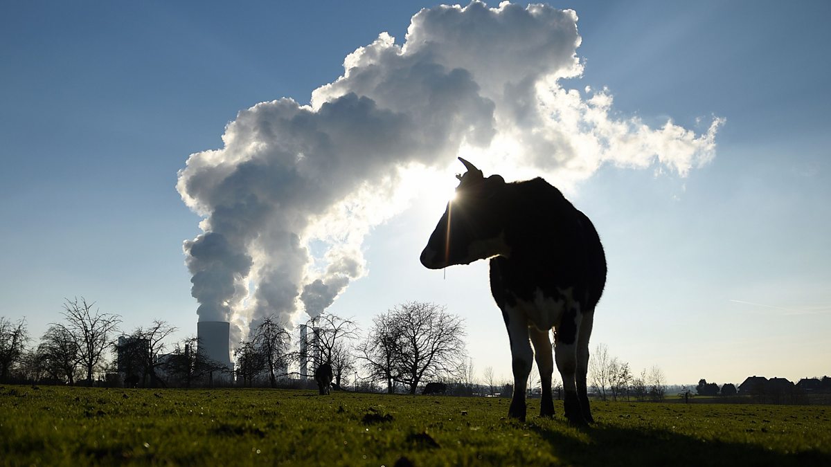 BBC World Service - The Real Story, Methane: The other greenhouse gas